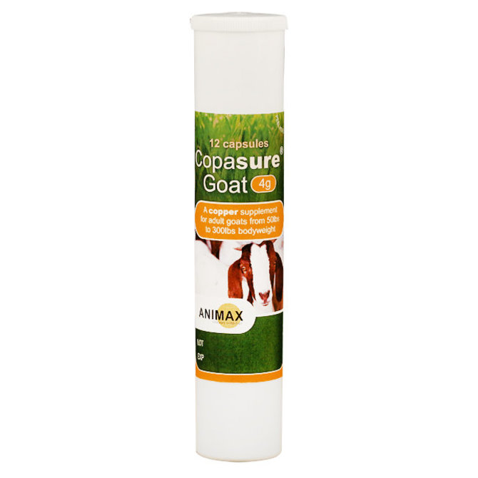Copasure Copper Supplement for Adult Goats — Pet Wish Pros