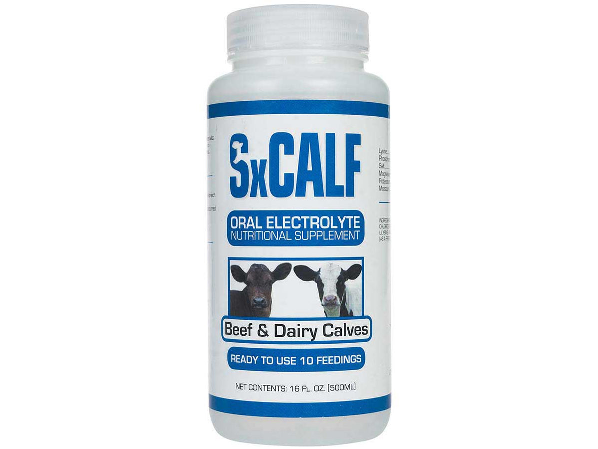 SxCalf Oral Electrolyte for Beef & Dairy Calves — Pet Wish Pros