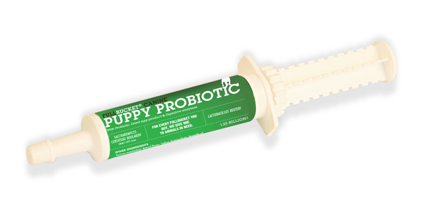 FullBucket Canine Puppy Probiotic Paste — Pet Wish Pros