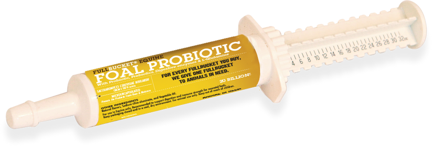 FullBucket Equine Foal Probiotic Paste — Pet Wish Pros